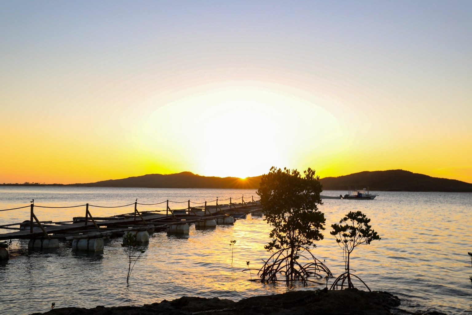 Roko Island Review - Free to Explore