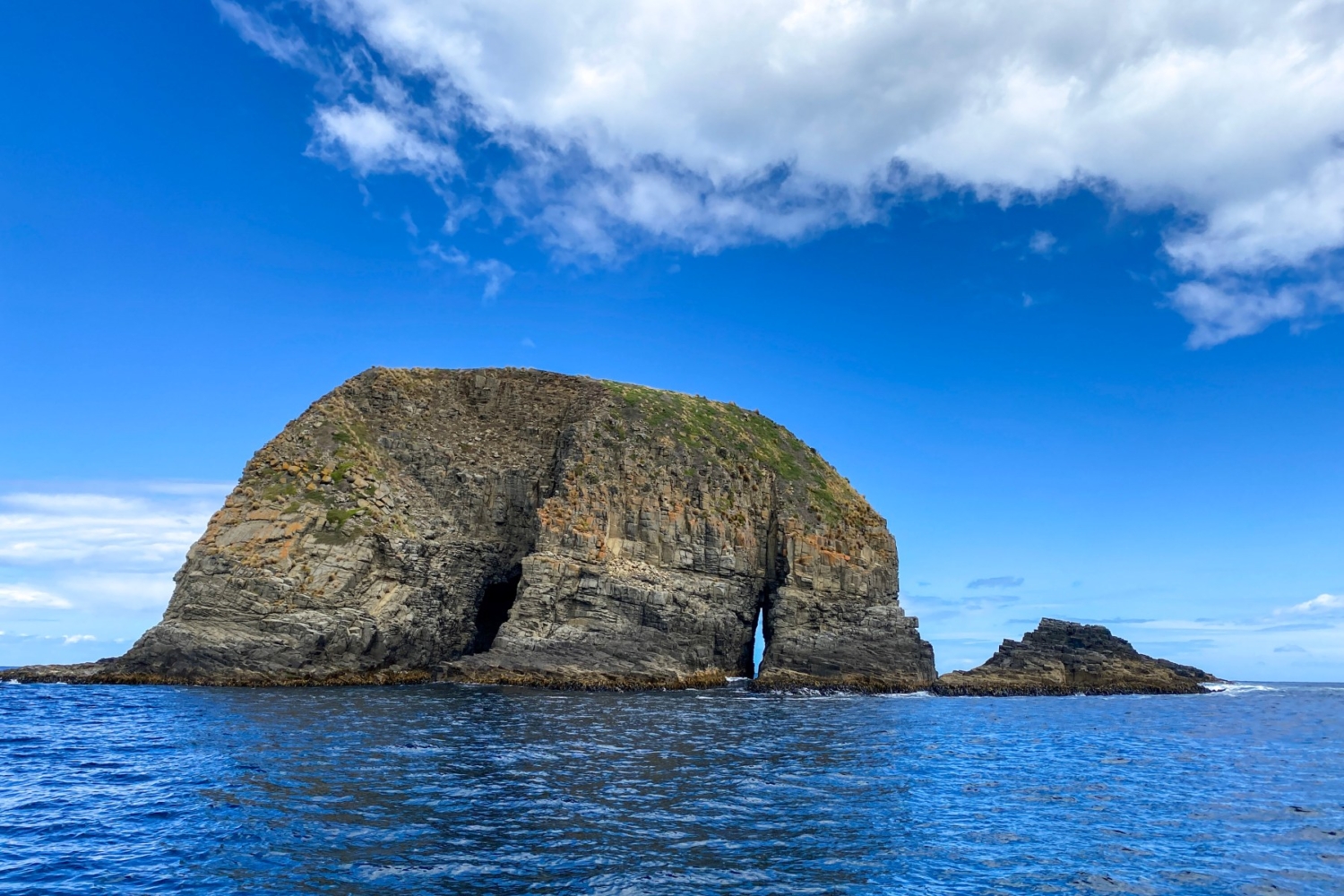 Our Family's Guide To Holidaying On Bruny Island, Tasmania - Free to ...