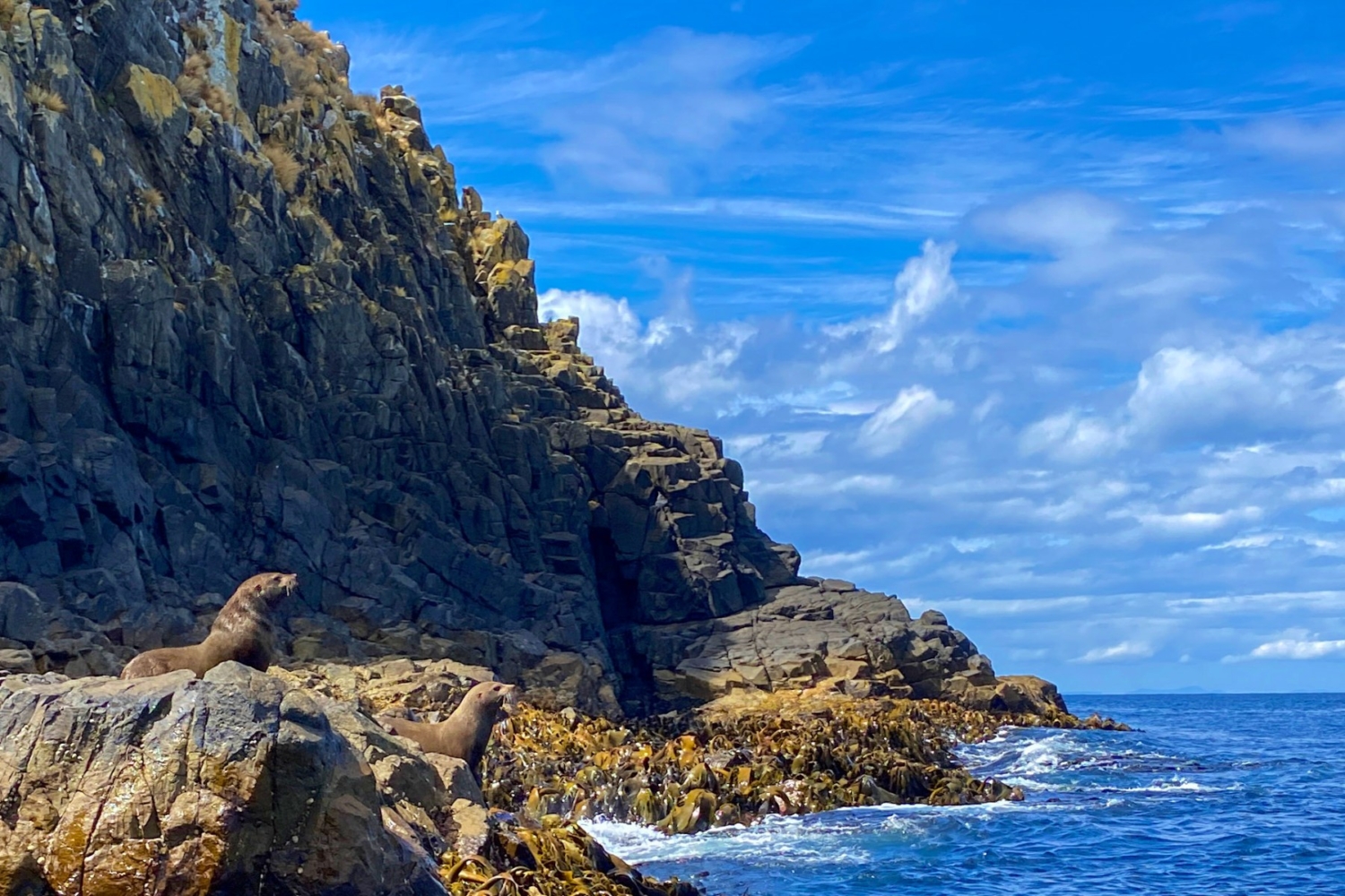 Our Family's Guide To Holidaying On Bruny Island, Tasmania - Free to ...