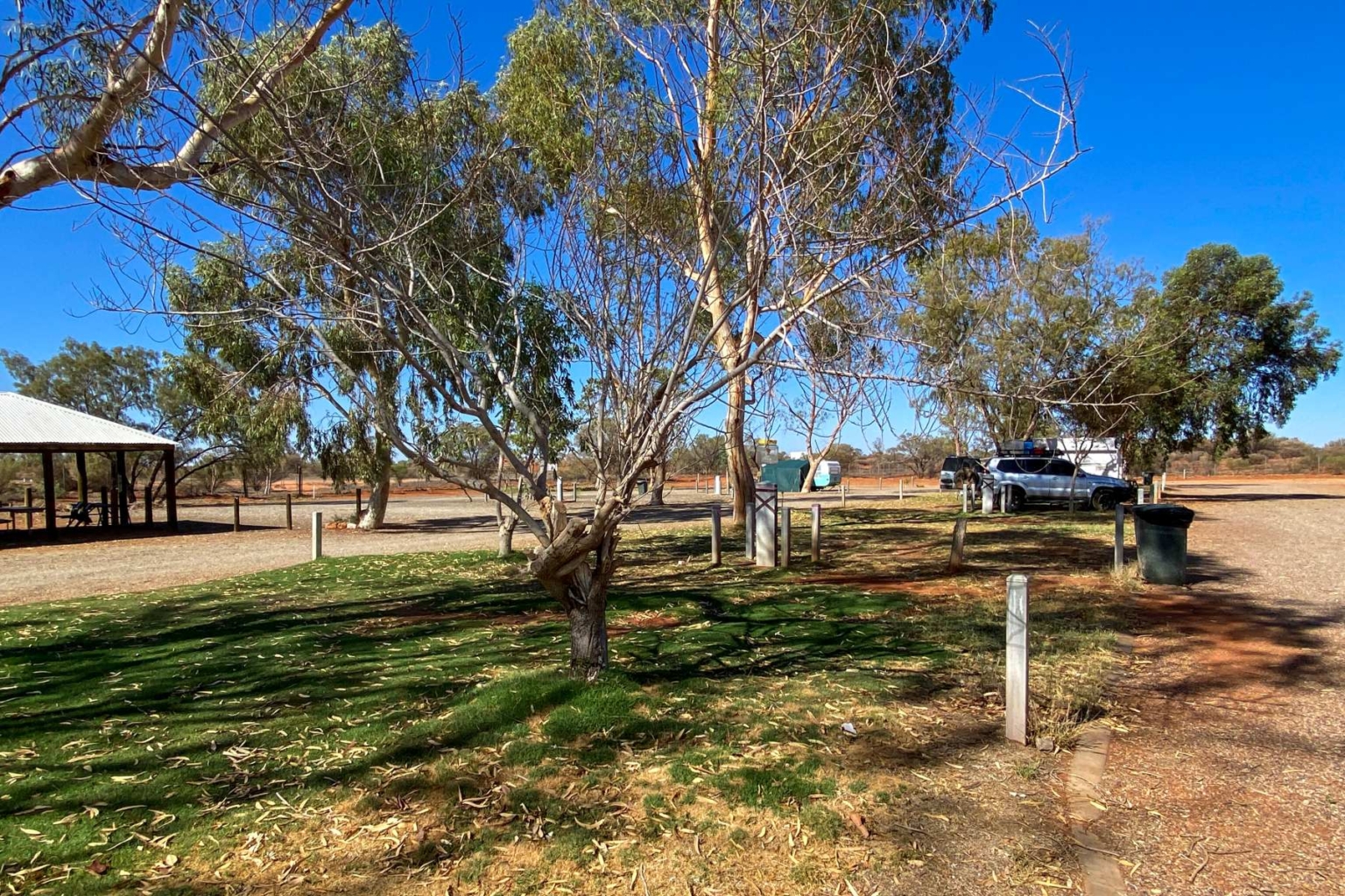 Erldunda Roadhouse Desert Oaks Review - Free to Explore