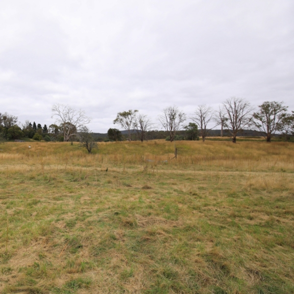 Kanyini Camp Review - Free to Explore