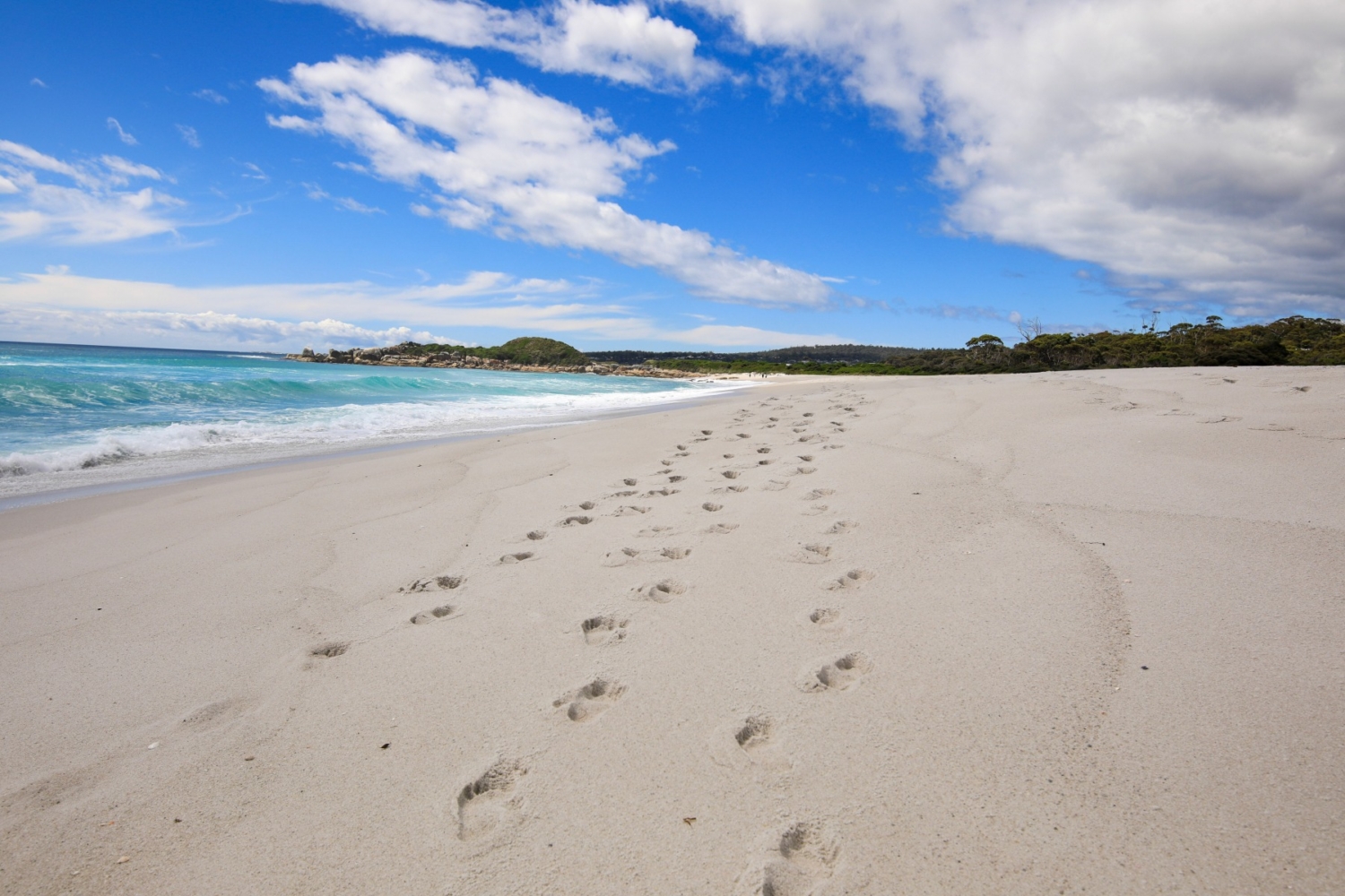 Swimcart Beach Campground Review - Free to Explore