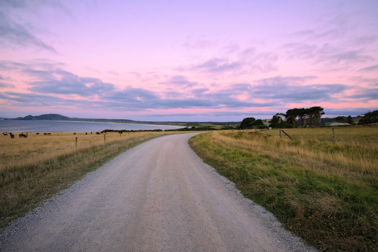 Marrawah Green Point Campground Review - Free to Explore