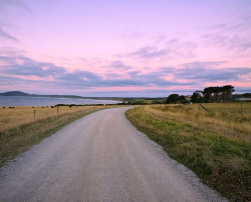 Marrawah Green Point Campground Review - Free to Explore