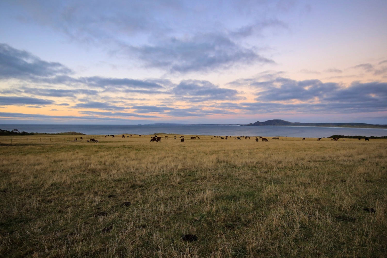 Marrawah Green Point Campground Review - Free to Explore