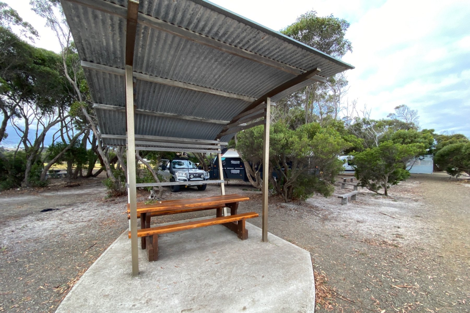 American River Camping Ground Review - Free to Explore