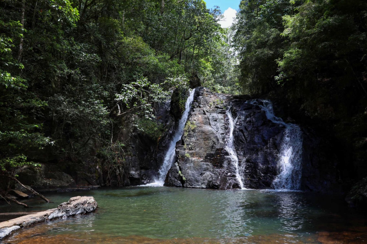 Five Stunning Waterfalls To Visit In The Atherton Tablelands - Free to ...