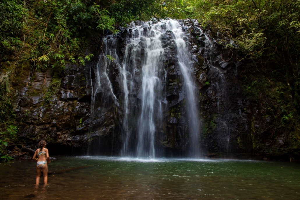 Five Stunning Waterfalls To Visit In The Atherton Tablelands - Free to ...