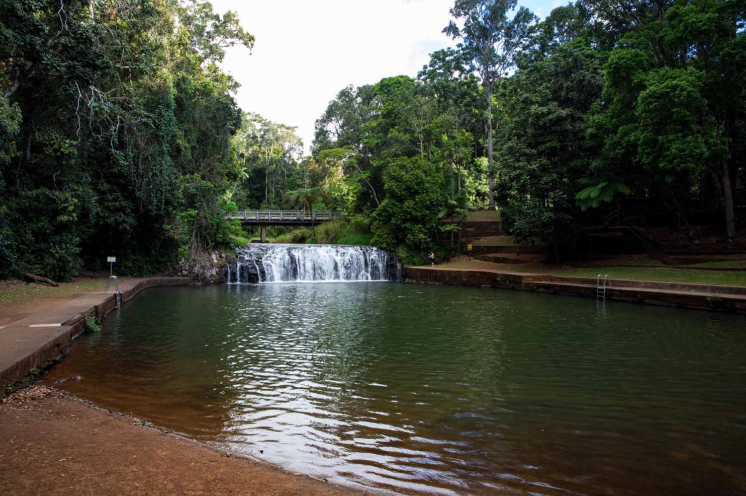Five Stunning Waterfalls To Visit In The Atherton Tablelands - Free to ...
