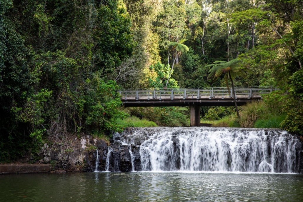 Five Stunning Waterfalls To Visit In The Atherton Tablelands - Free to ...