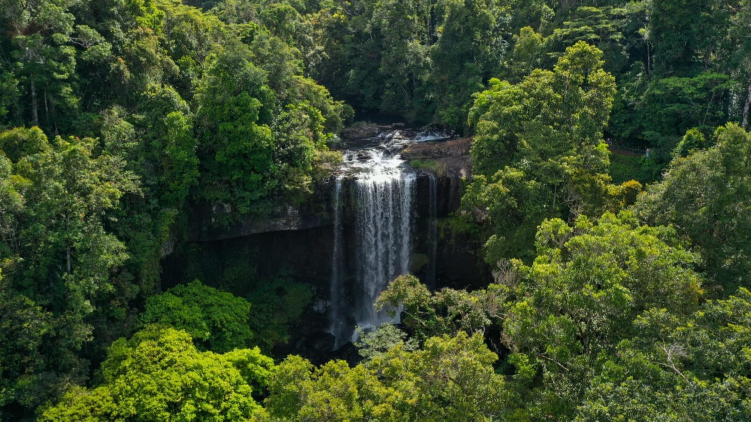 Five Stunning Waterfalls To Visit In The Atherton Tablelands - Free to ...