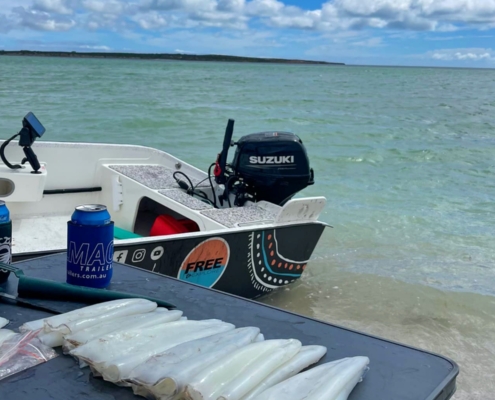 Perlubie Beach Camping Area Review - Free to Explore